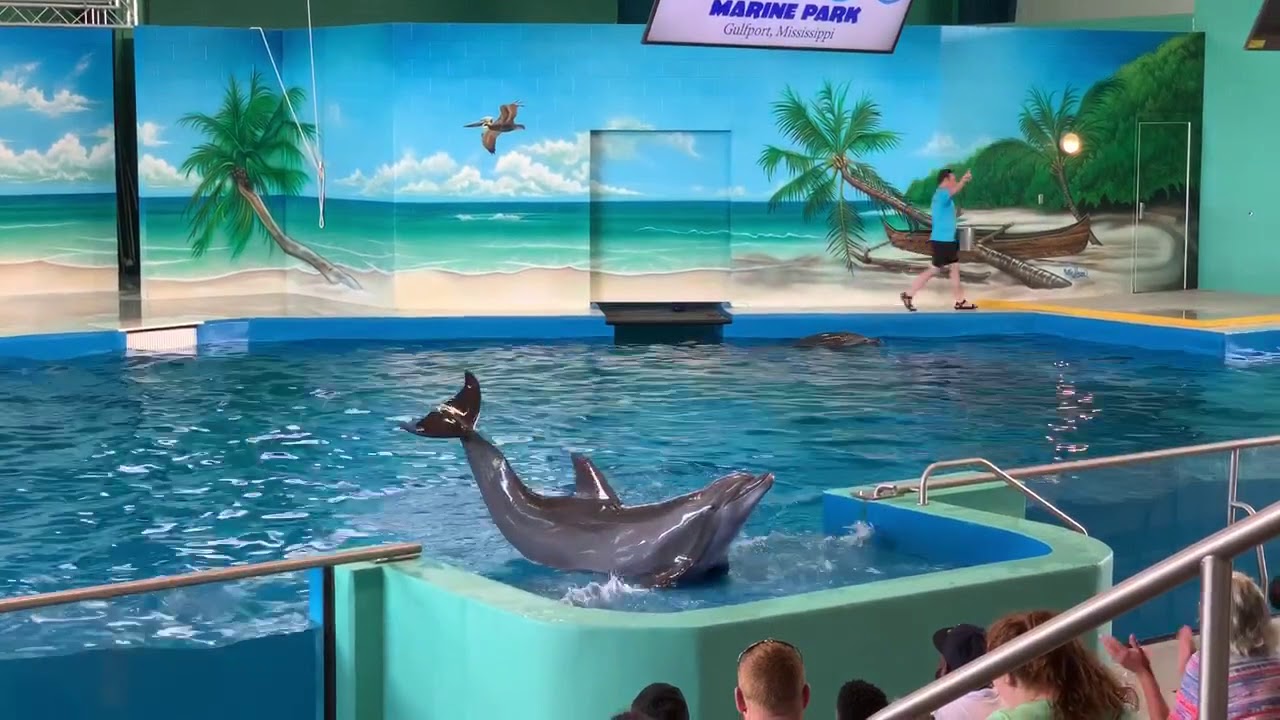 Ocean Adventures Marine Park - Pinhas Properties
